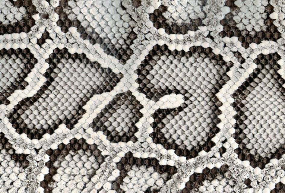 Python – Inside The Closet